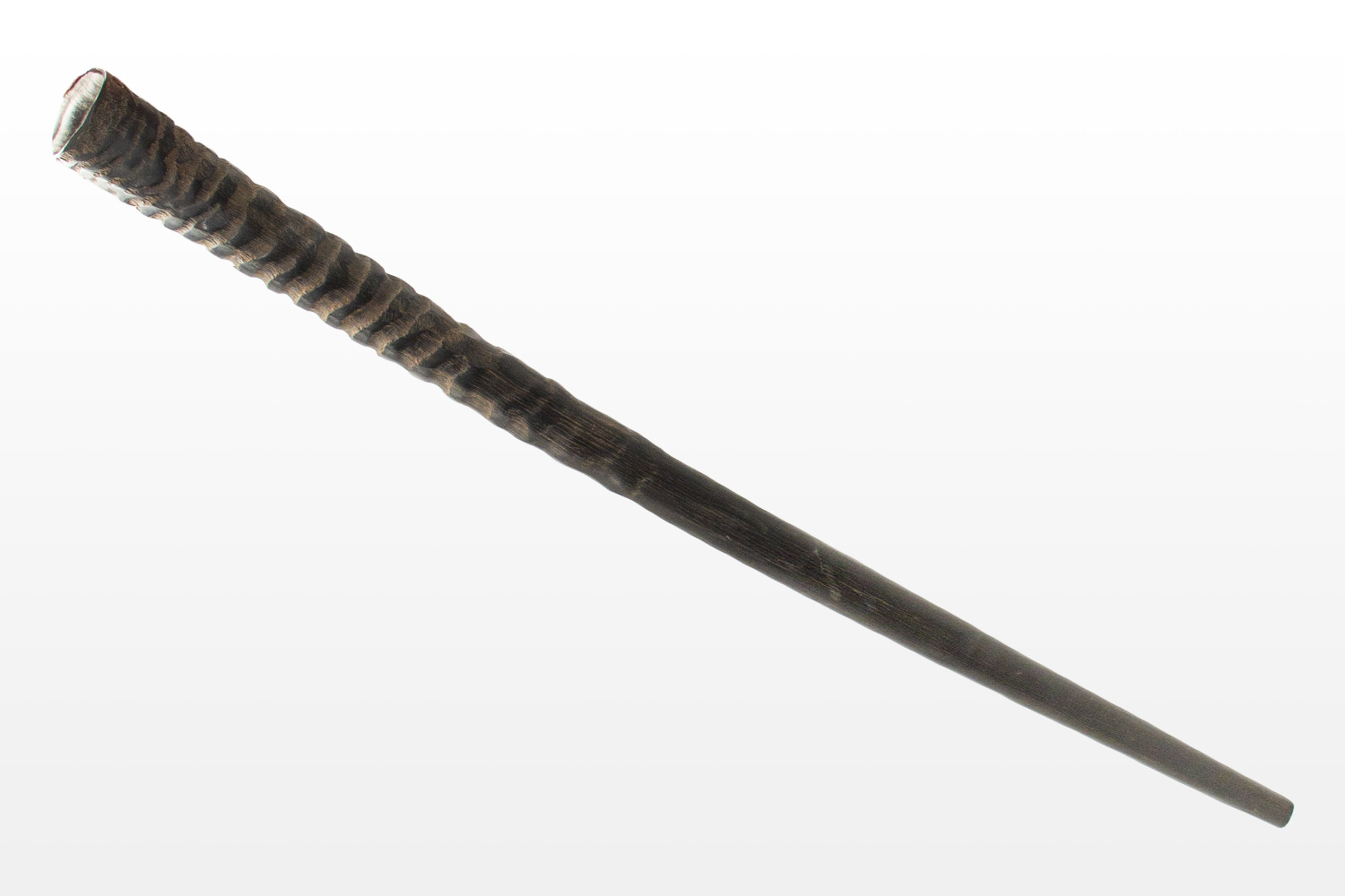 Natural Oryx Horn Shofar - Israel Cart