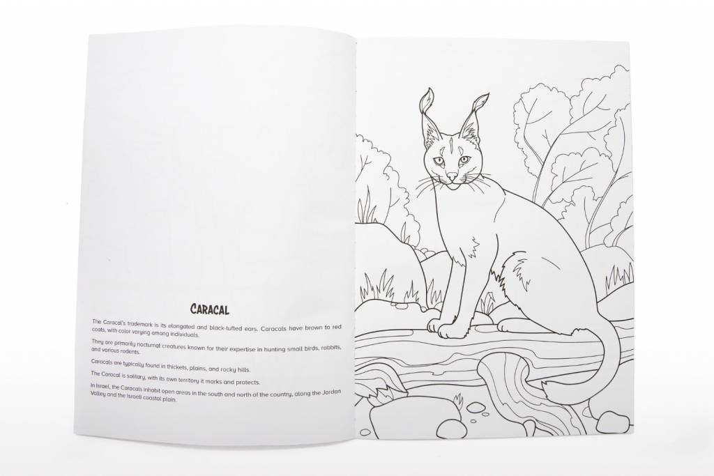 The Animal of Israel Coloring book for kids - Israel Cart