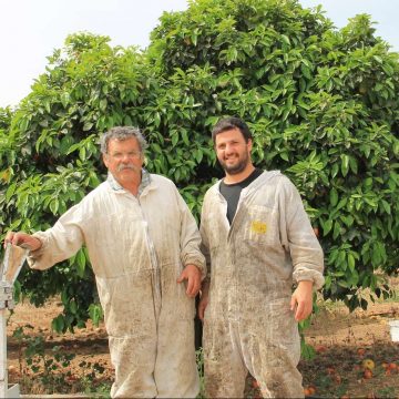 Pereh Honey - Israel Cart