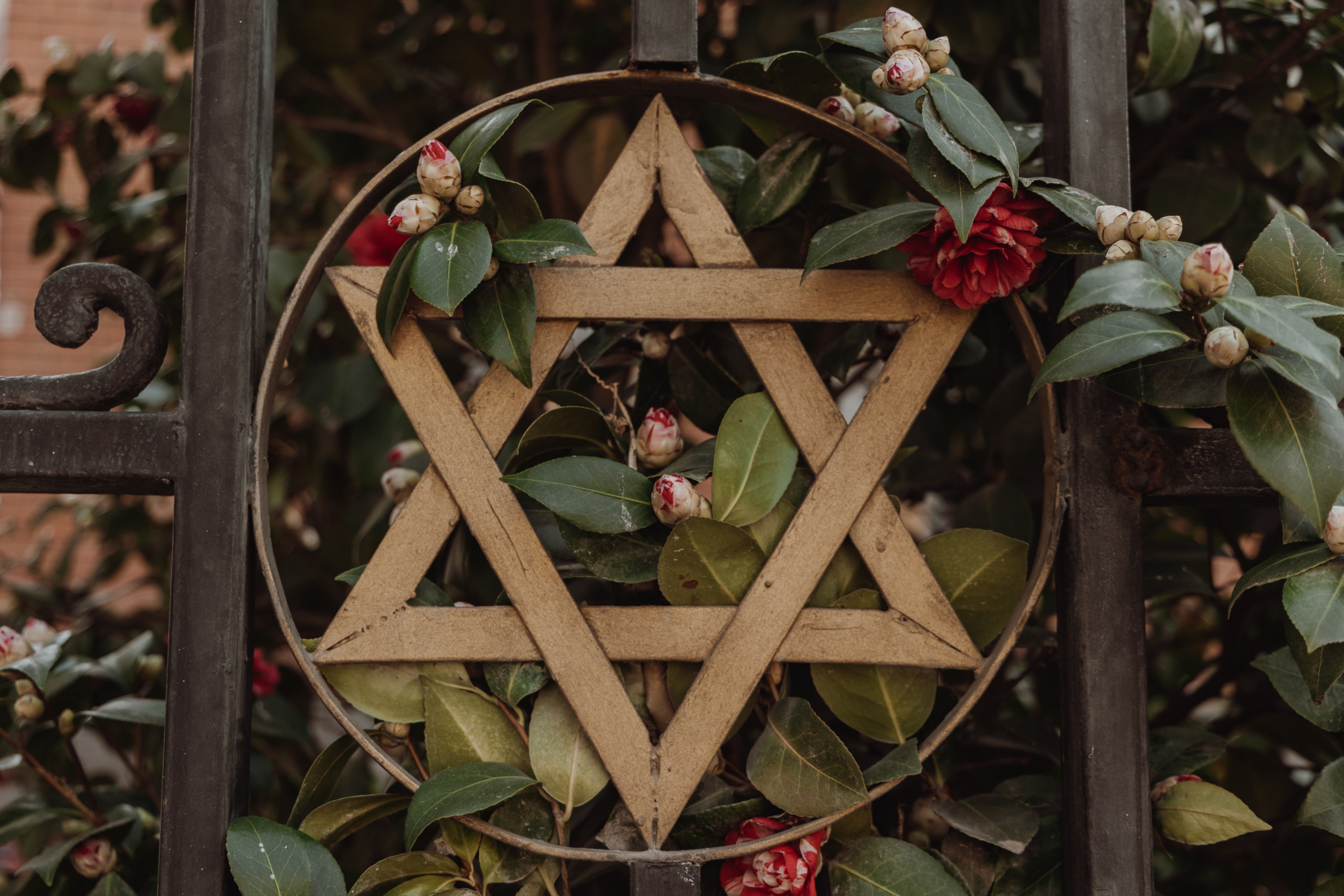 Celebrate Jewish Culture With Israel Cart Judaica